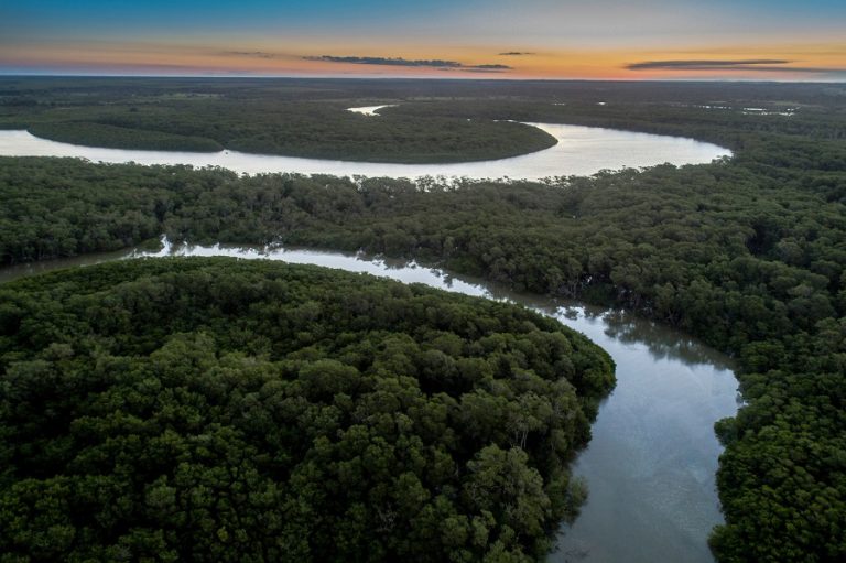 Projeto idealizado pela Suzano recupera nascentes do Rio Mucuri | iNewsBR