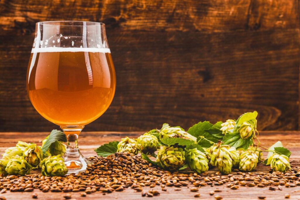 Ambev fecha parceria com a Silver Hops para produção de lúpulo ...